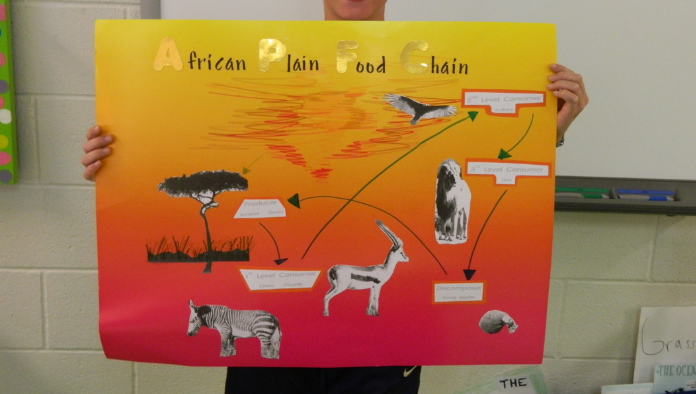 The English, Natural Science, Social Science and Arts Blog: Examples of ...