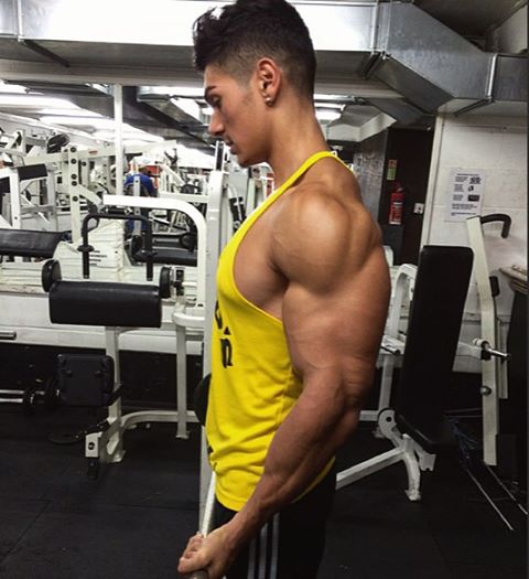 Andrei Deiu: Back & Arms Workout