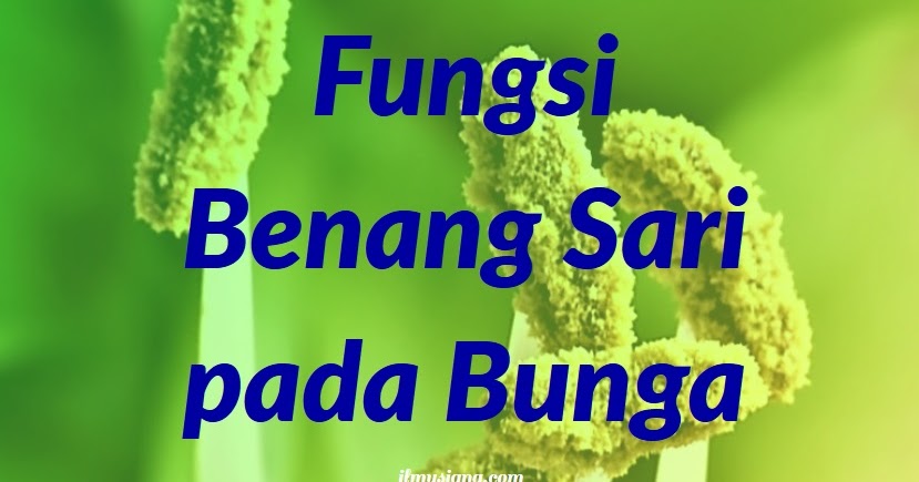 7+ Fungsi Benang Sari pada Bunga