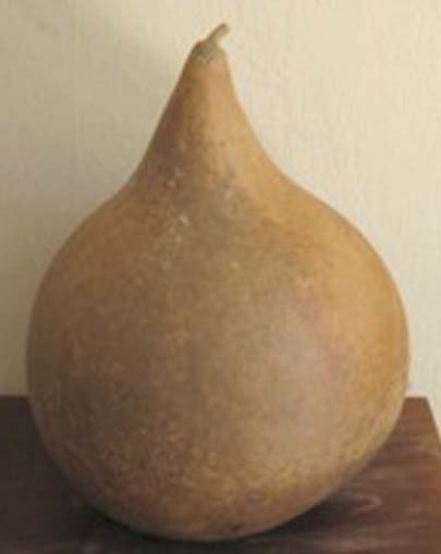 East Bay Gourd Patch