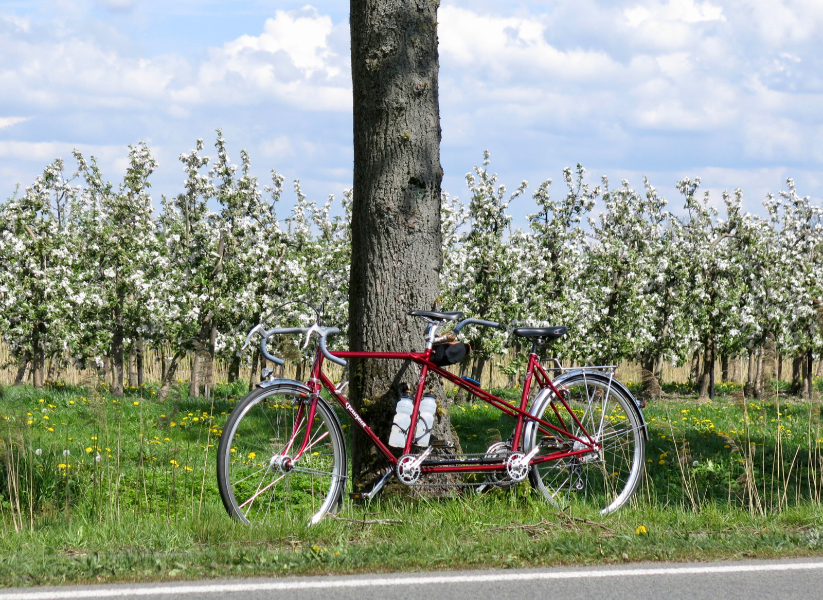 Peugeot tandem TM 8 - creative restoration | loursblanc.com