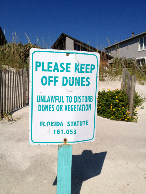 Scriblets: Sea Oats