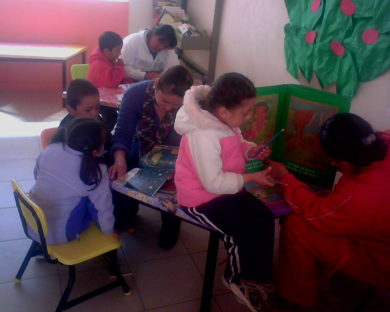 CONAFE SAN LUIS POTOSI: conafe