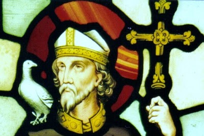 Historical Fun: Fun Facts About St David