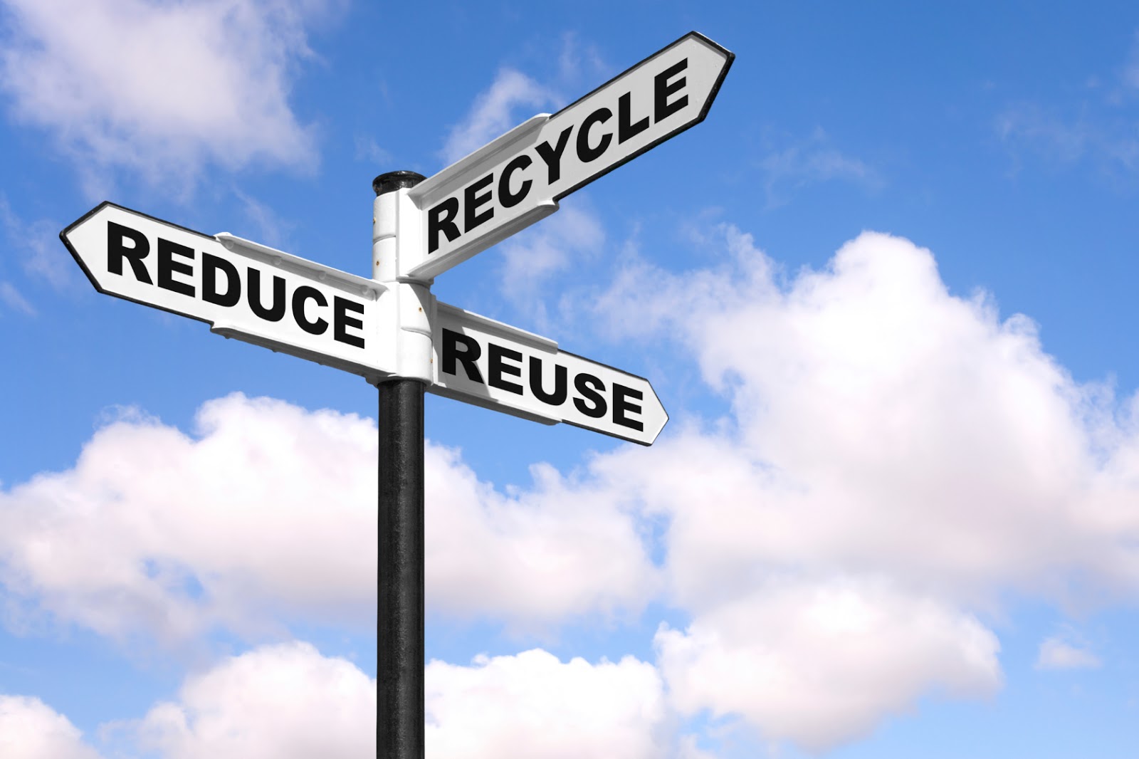 EcoFriendly Sask: What Can I Recycle? Tips for Doing It Right