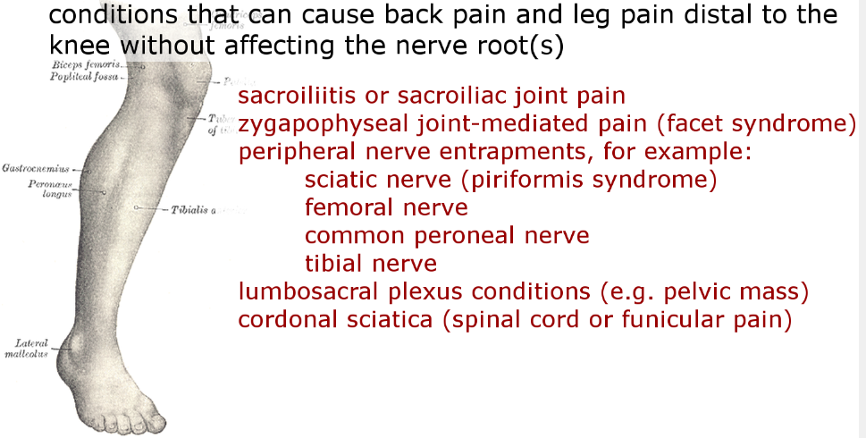 Sciatica and lumbosacral radiculopathy: April 2014