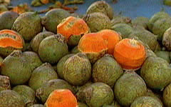 Alimentos que curam e que dão saúde !: Dicas de alimentos