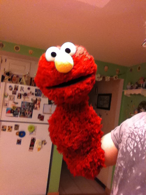 Adam Kreutinger: Elmo Update