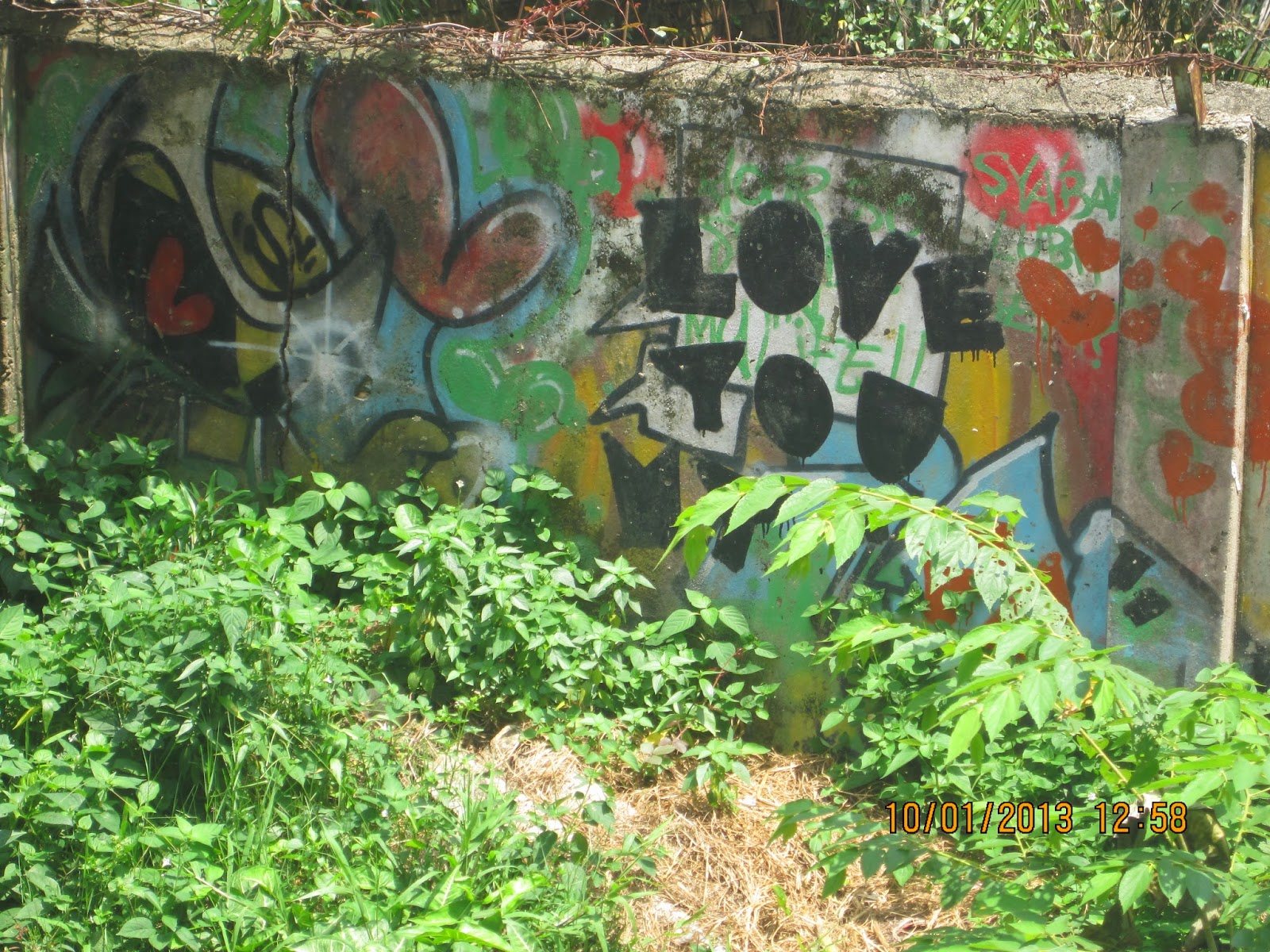 Matthew's In Donesia: