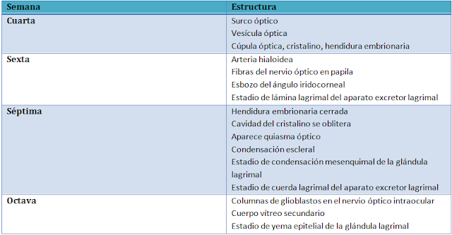 Desarrollo ocular : Embriología Ocular 1. Generalidades.