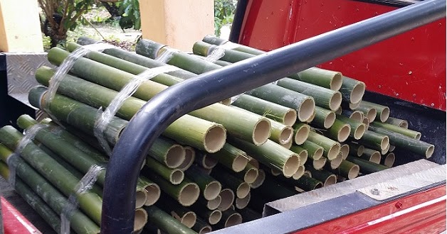 Dusun ku: Buluh Lemang