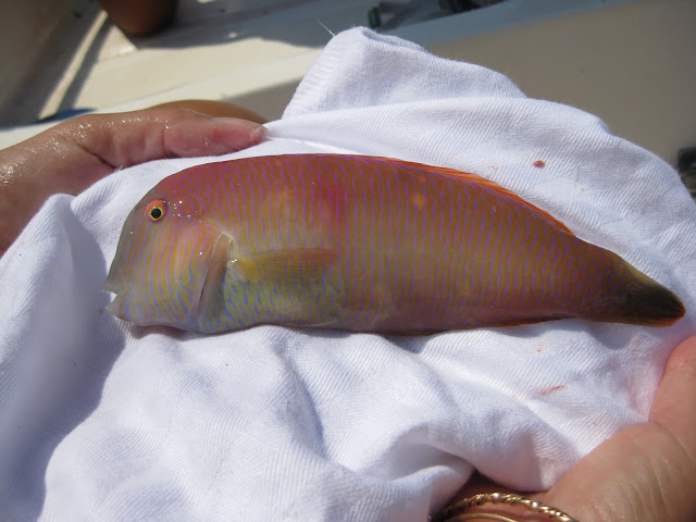 La libreta de recetas: octubre 2012