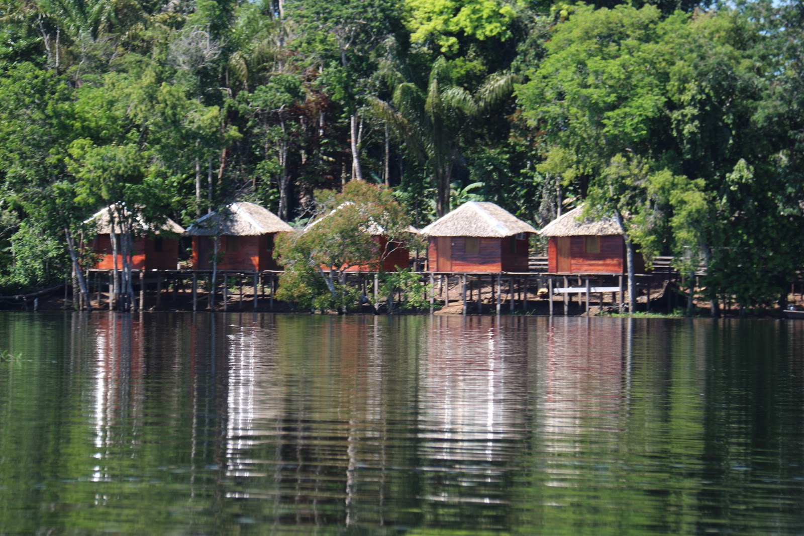 Juma Amazon Lodge: a primeira vez na Floresta Amazônica a gente nunca ...