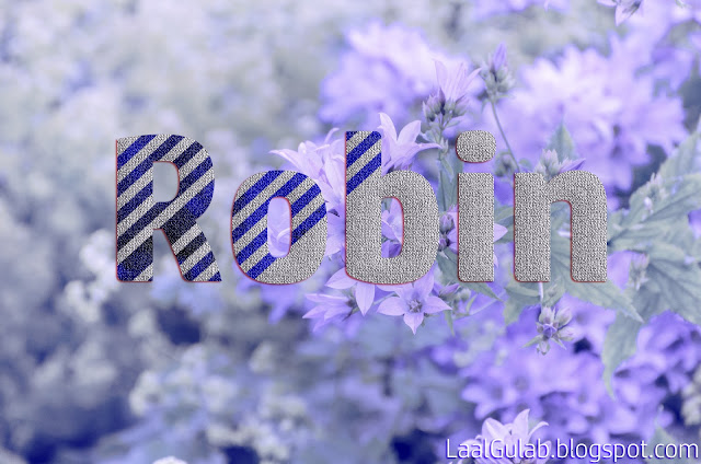 Robin Name Wallpapers Robin ~ Name Wallpaper Urdu Name Meaning Name ...