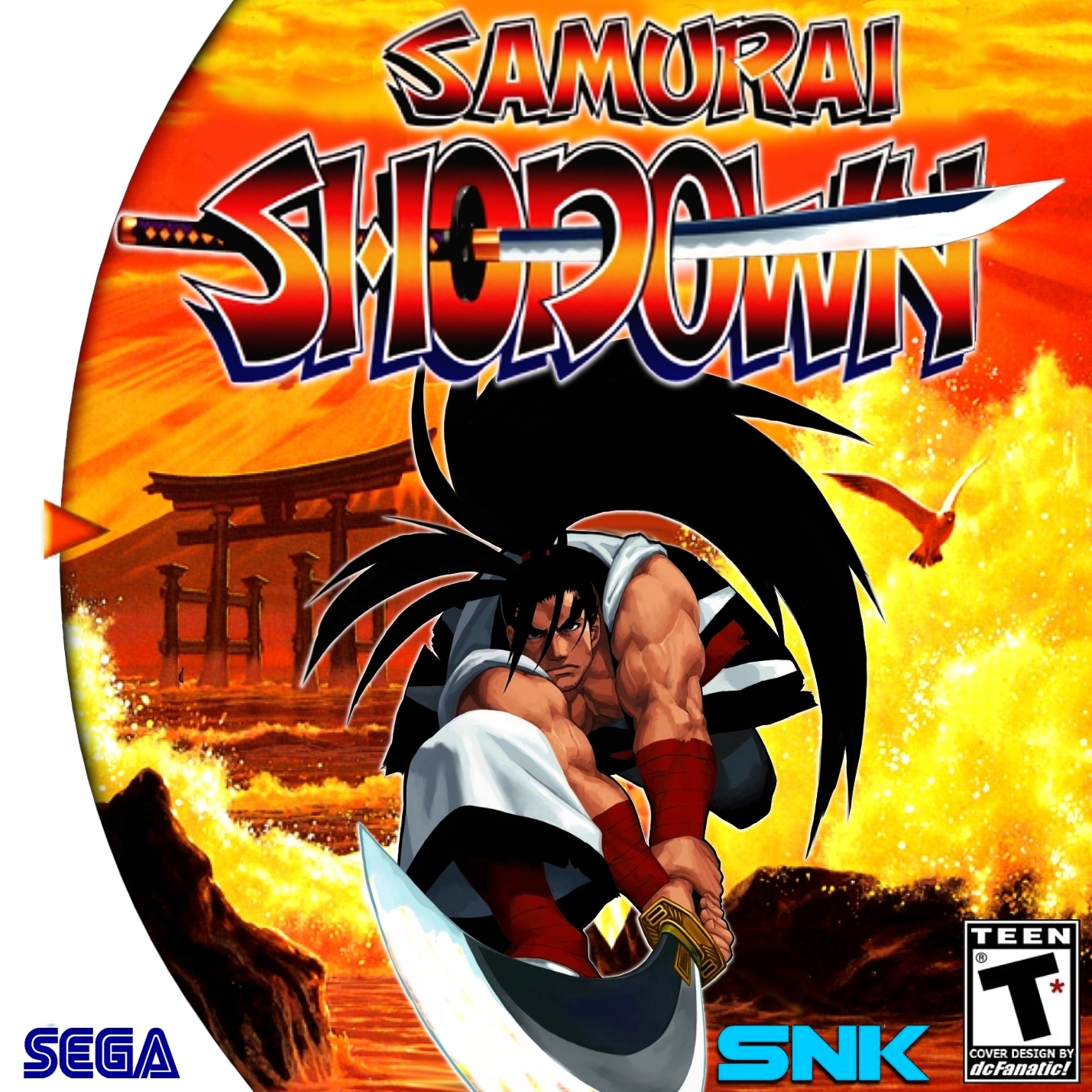 Dreamcast Hombrew Custom Covers: Samurai Shodown Dreamcast Cover