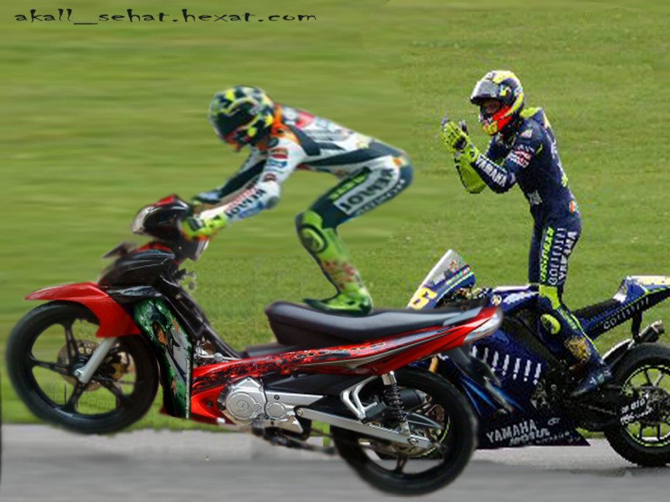 GAMBAR LUCU | MELON PRODUCTION PONOROGO