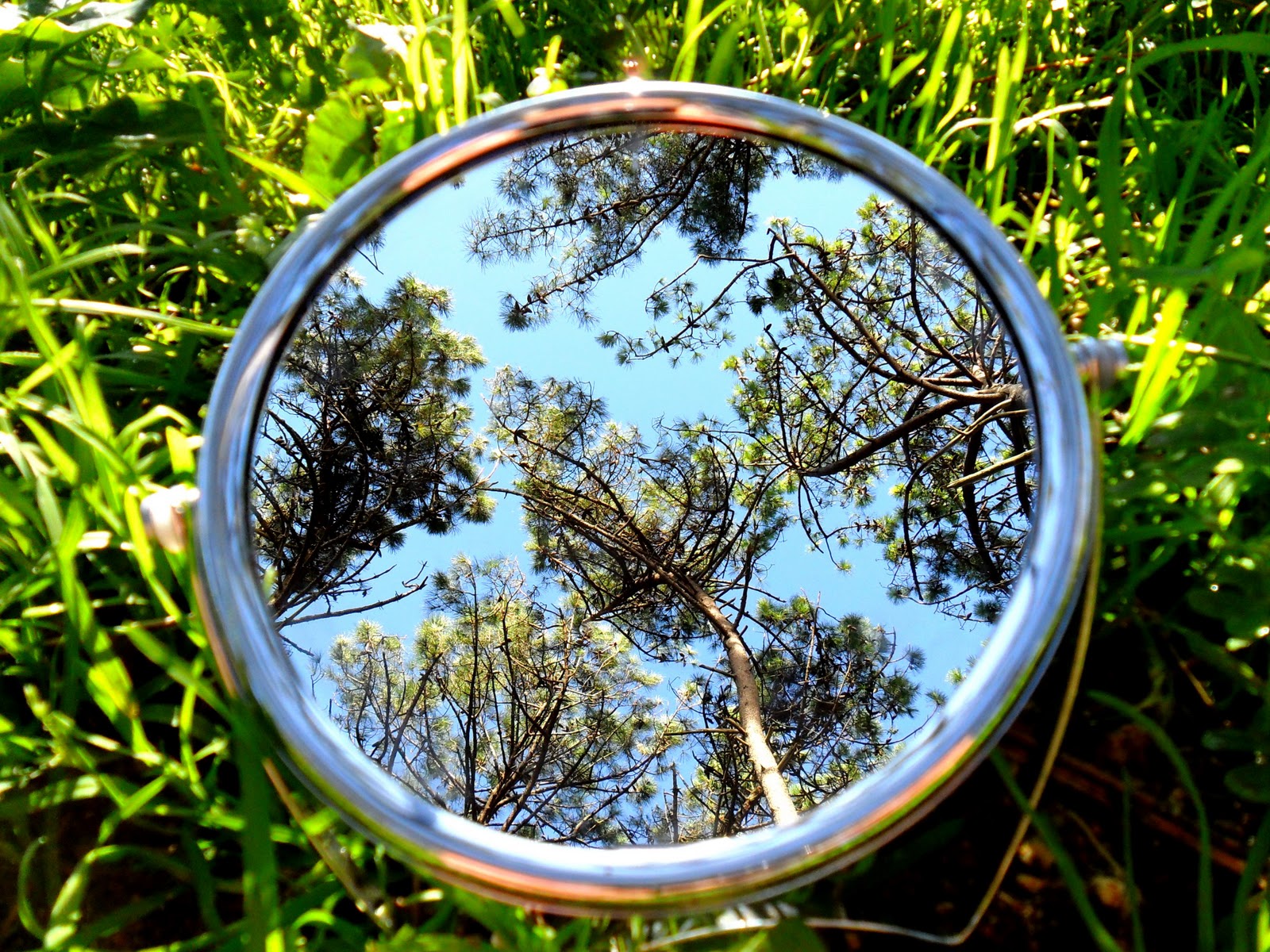 LA COMPRENSIÓN ES TODO: Espejo-Reflejos