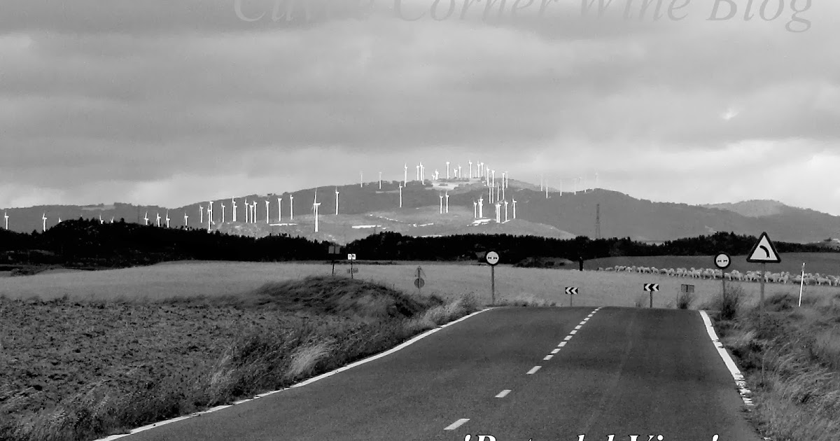 The Wine Road Less Taken [Ruta del Vino]