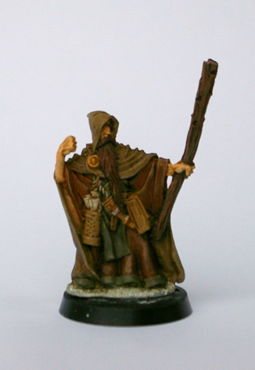 Lead and Plastic Blog: Brown Wizard (Reaper)