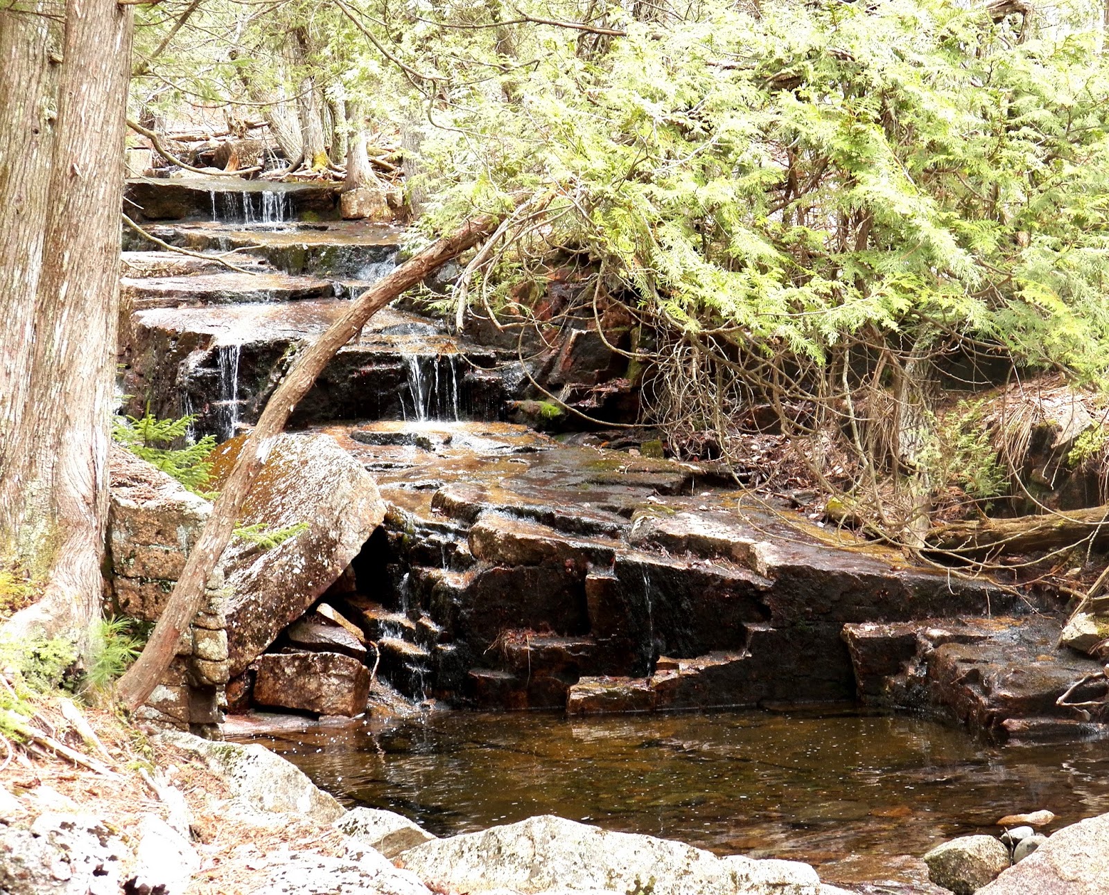 ABANDONED TRAILS OF ACADIA NATIONAL PARK: CADILLAC MOUNTAIN'S HIDDEN ...