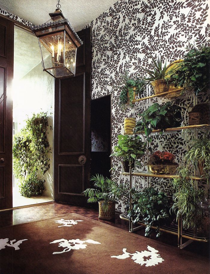 It's A Jungle In There: Invasion of the 1970s Houseplants - Go Retro!