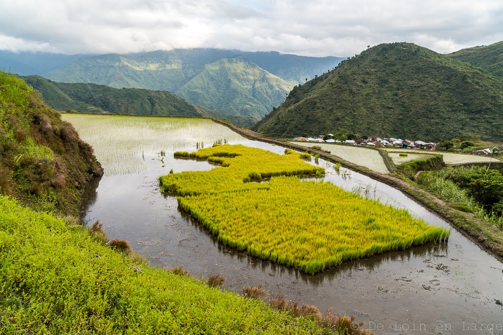 Philippines - jour 2 : Banaue - Buscalan - immersion au pays Kalinga