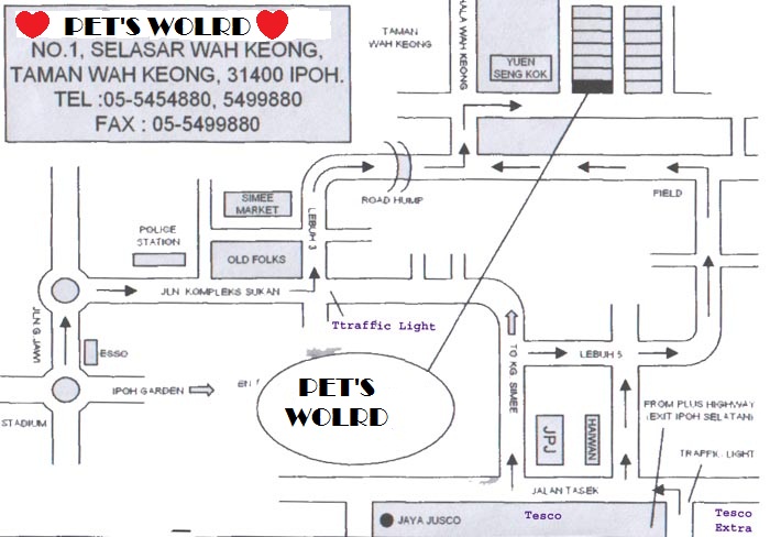 Pets_World: March 2011