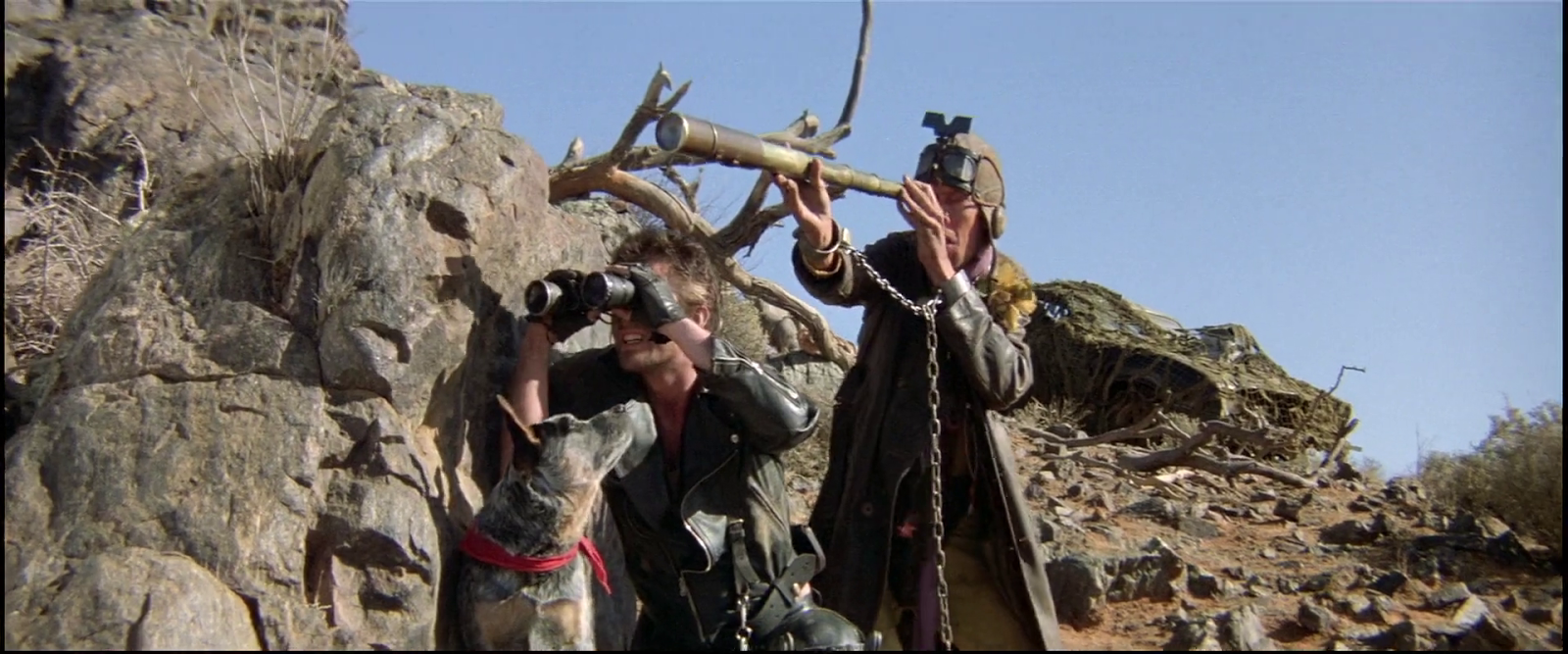 Celluloid Daze: MOVIE OF THE WEEK: 'The Bride Wore Black' (1968)