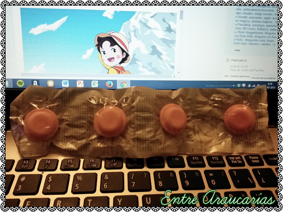 Entre Araucarias: Cambio de nombre + La Magia del Sur: Obleas Chinas Li ...