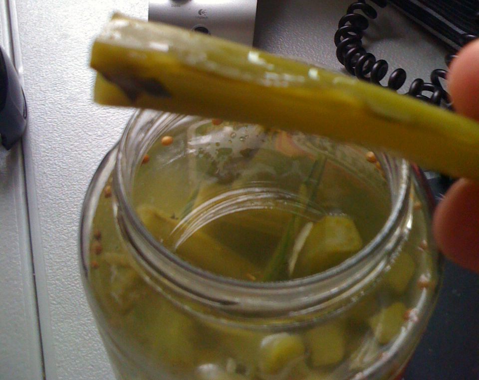 George Can Cook: Pickled Collard Green Stems Work!