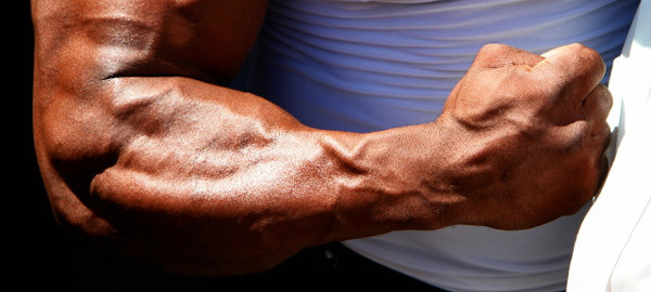 The Body Engineering: Massive Forearms Workout