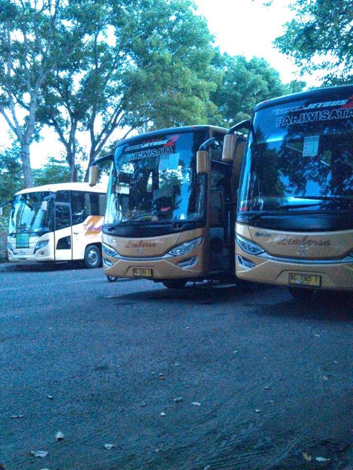 Bis Pariwisata & tiket bus reguler Palembang