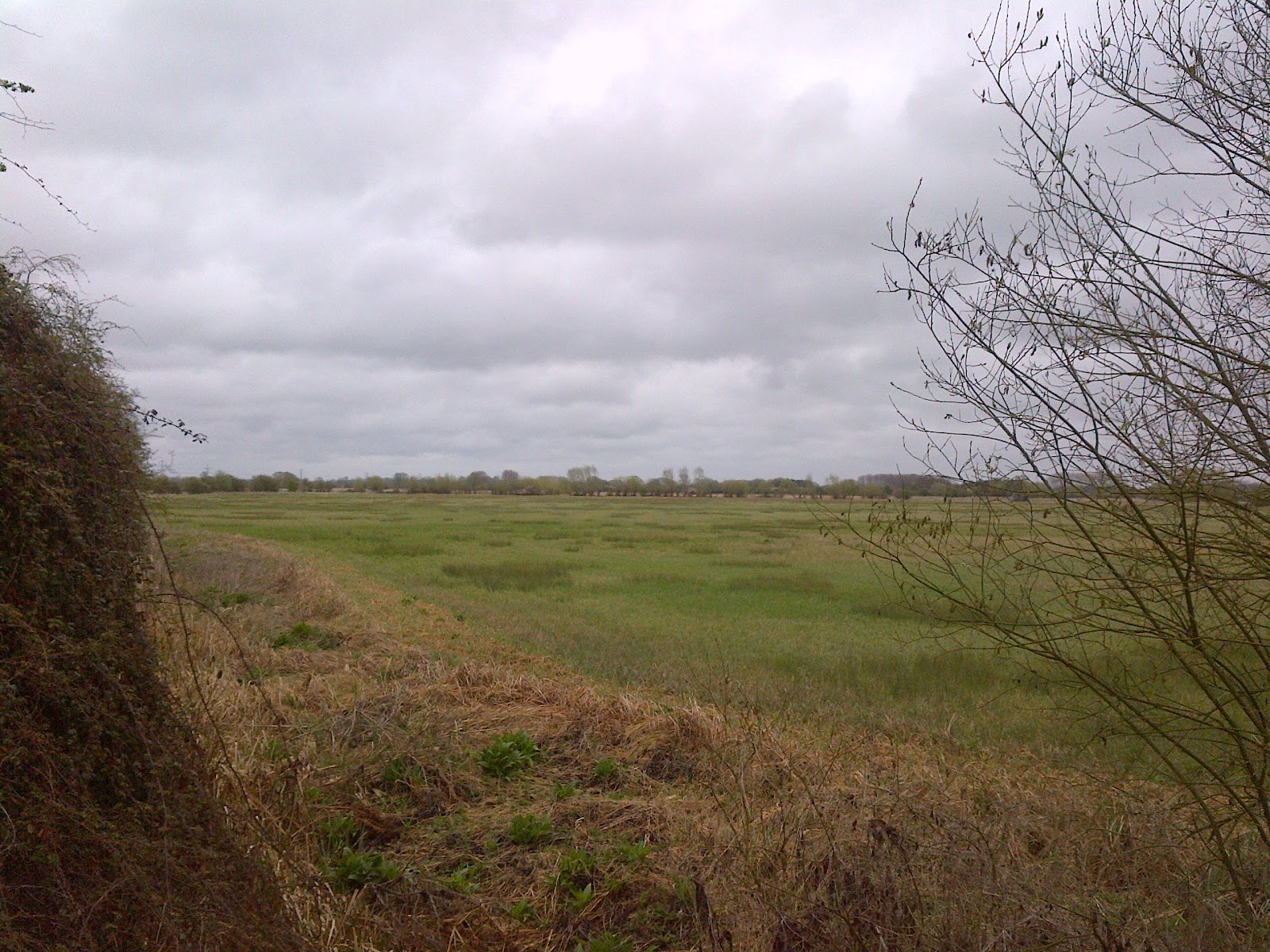 justthoughtsnstuff: duxford, violets, shifford lock, tadpole bridge ...