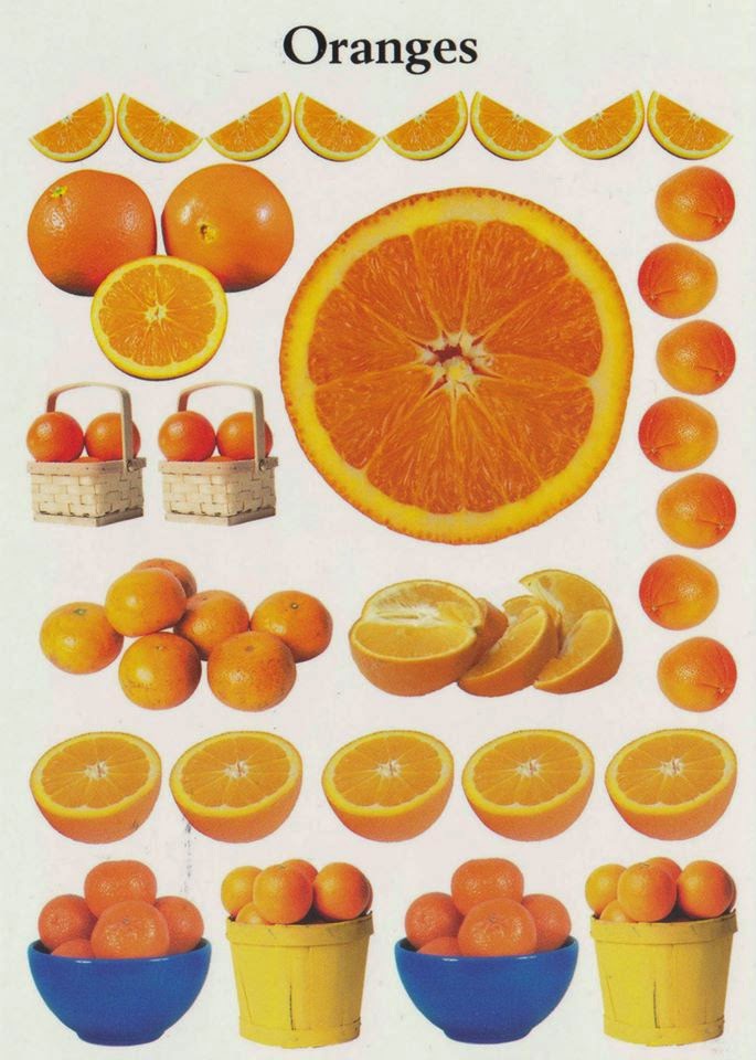 General Picture Group: Multiple of oranges pictures.