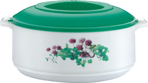 VALUE PICK FROM INDIAN STOCK MARKETS: TOKYO PLAST INTERNATIONAL - A ...