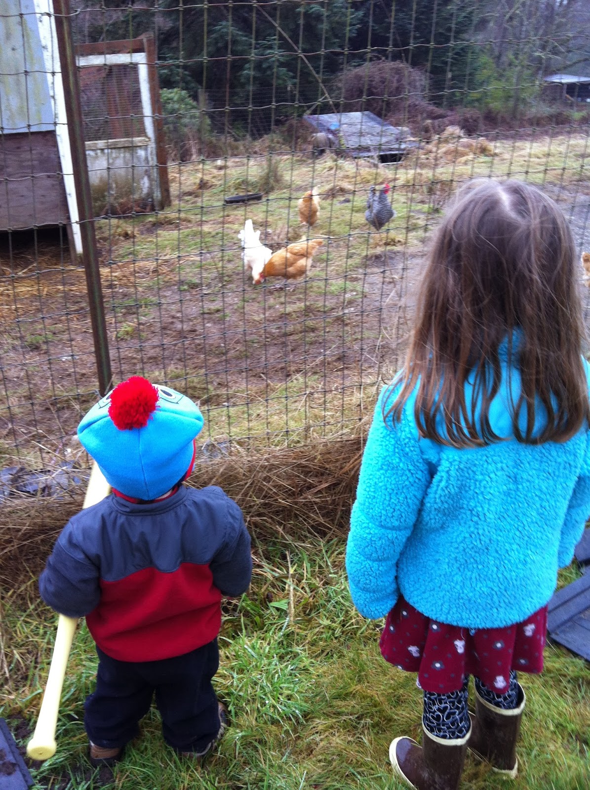 Where the Stream Runs Blue: Week in Review: Oak Meadow Kindergarten ...