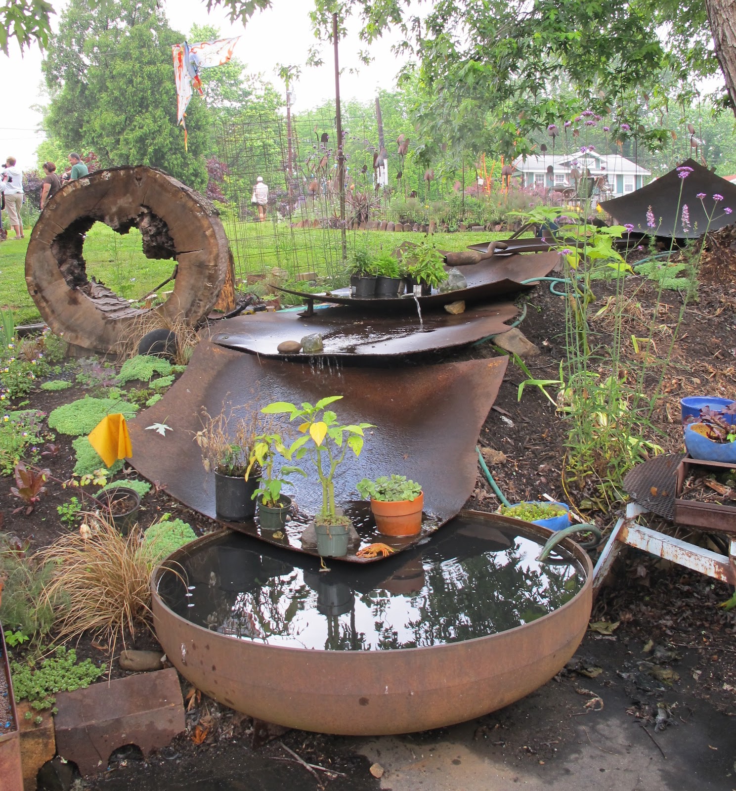 A Mello Fellow's Garden in West Asheville