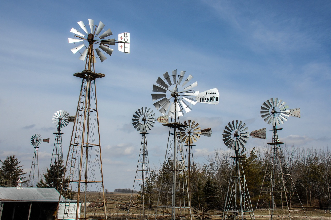 Bailey's Buddy: A Collection of Windmills! Photos by Bob Kelly