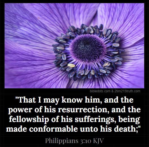 2 Timothy 2:15 Truth: Verse of the Day: Philippians 3:10 KJV