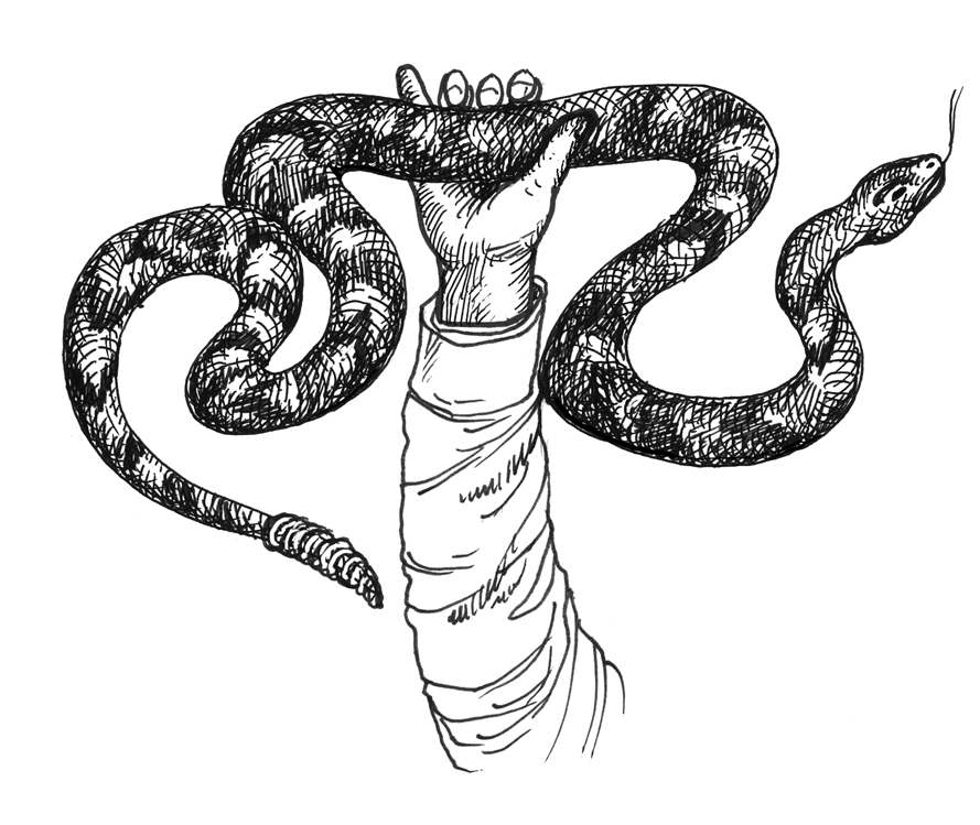 Art By-Products: Snake Handler