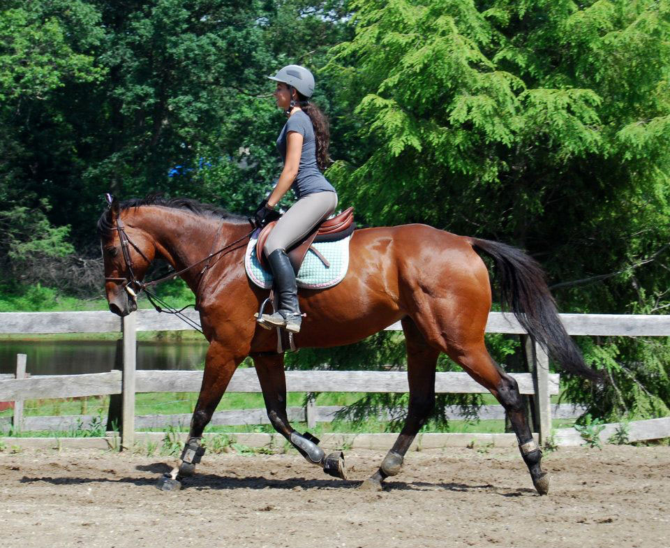 Intro to Multimedia Reporting: Horseback Riding at Holland Hills Farm
