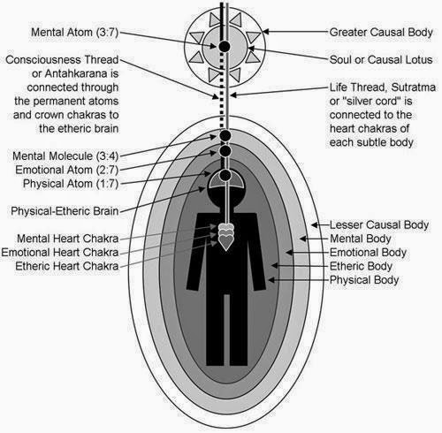 Miss Bond's Love Movement: Human Body and Energy Charts