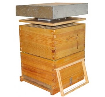 CORONA APICULTORES: COLMENA LUSITANA