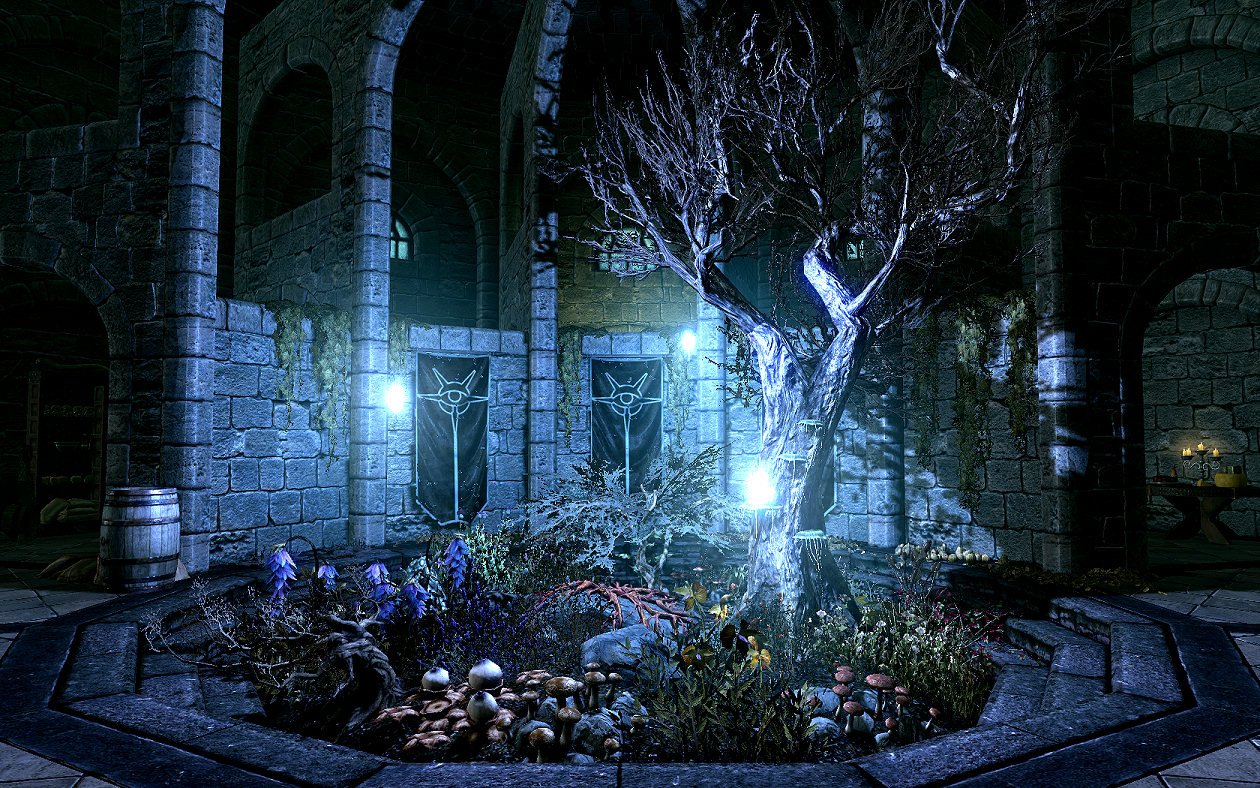 Eye of the Beholder: The 2011 Awards