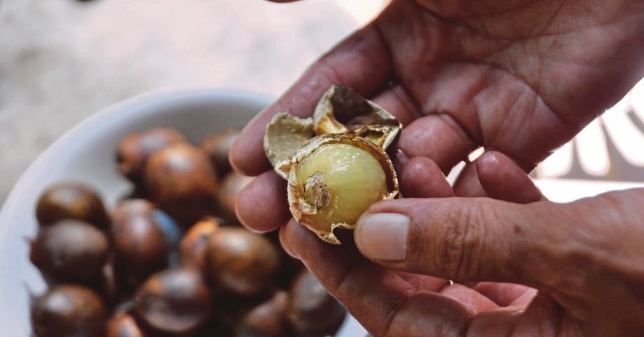 Sekolah Sungai Kg Taman Warisan: Buah Tiga Rasa