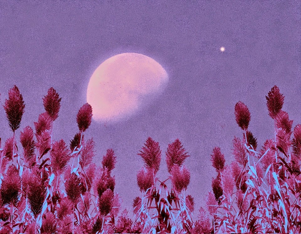 s i x s e n s e s: ༺☽ m o o n c h i l d