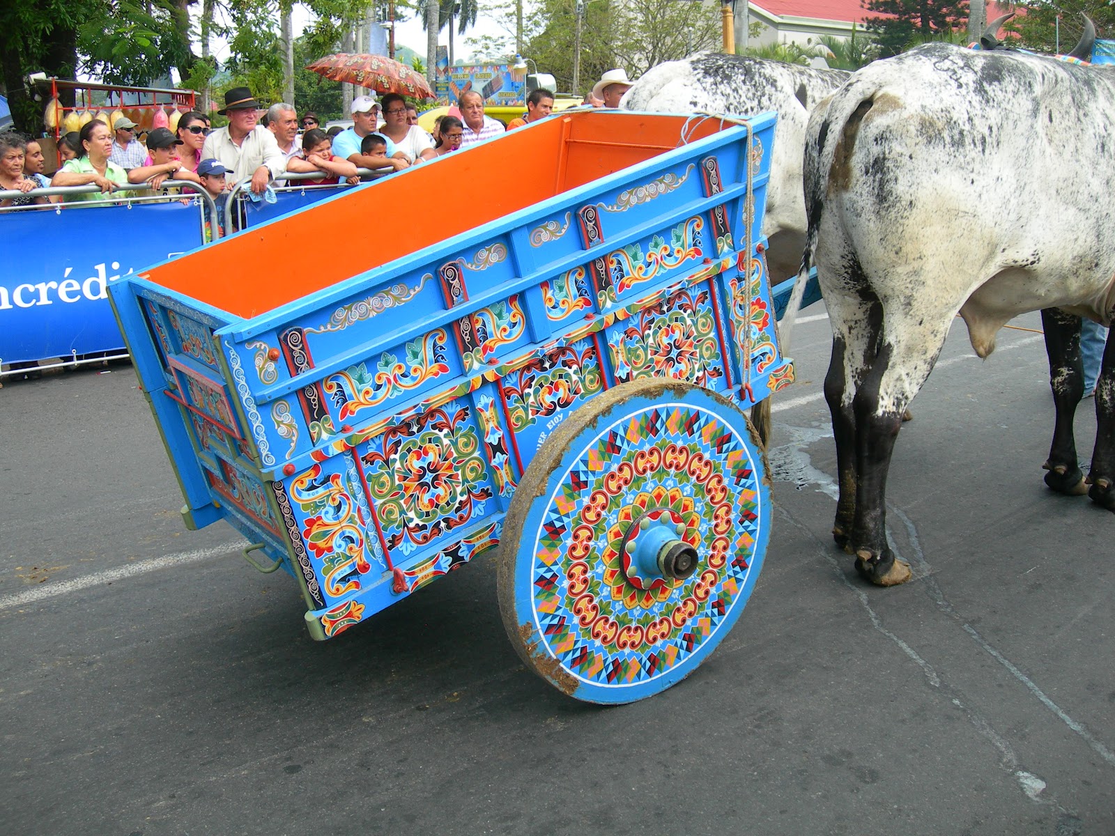 Diana's Costa Rica Blog: Oxcart Parade, Atenas