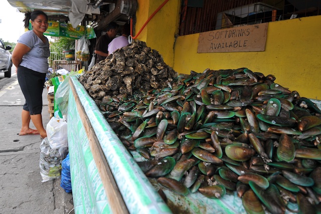 TERRY WHEELER: Cavite City, Philippines