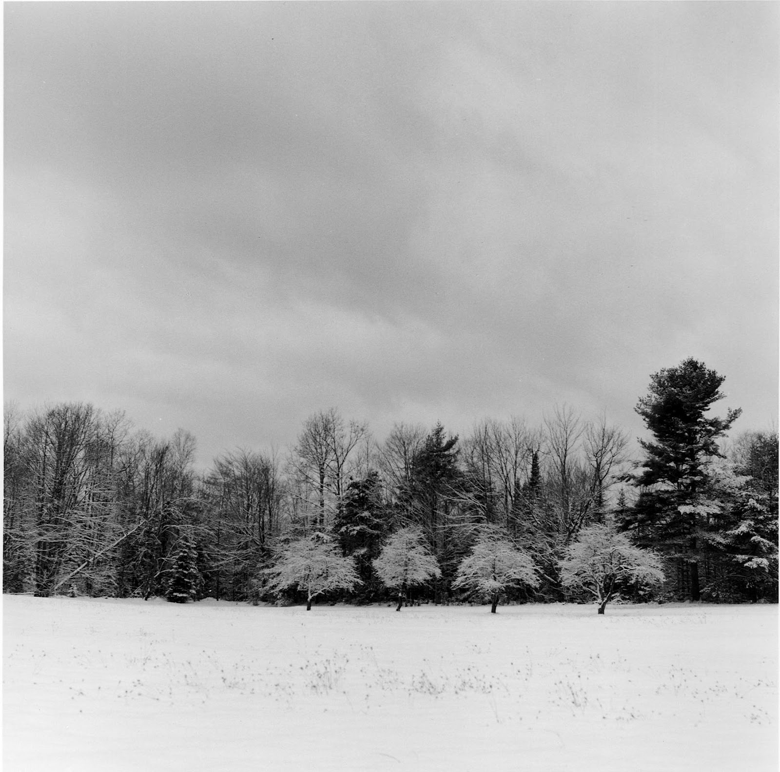 Geras Tousignant Gallery: James Scott Geras' Whitefield Collection