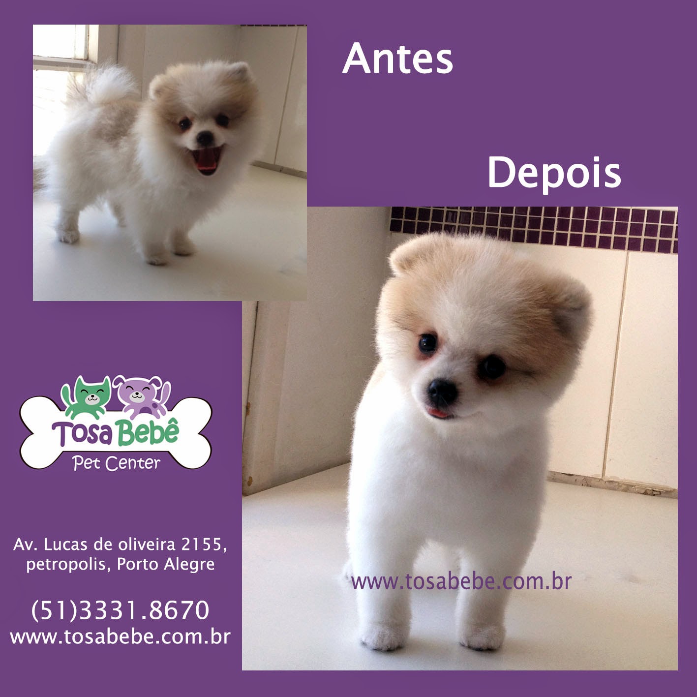 TOSA BEBÊ - TOSA VERÃO - TOSA TESOURA -TOSA PORTO ALEGRE: TOSA TESOURA ...